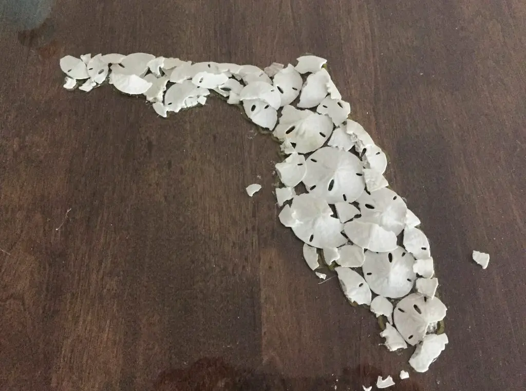 Broken Sand Dollar Project - the House house