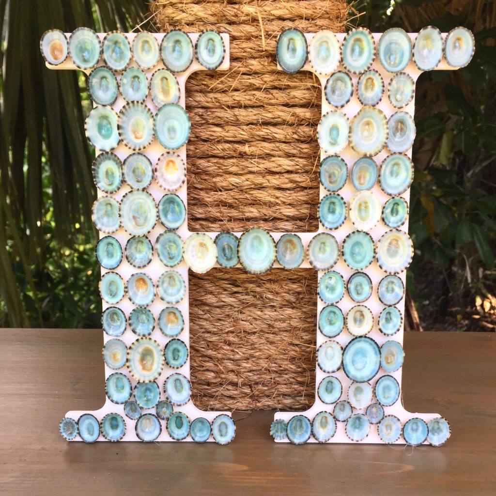 10 Fun and Easy DIY Shell Projects - the House house