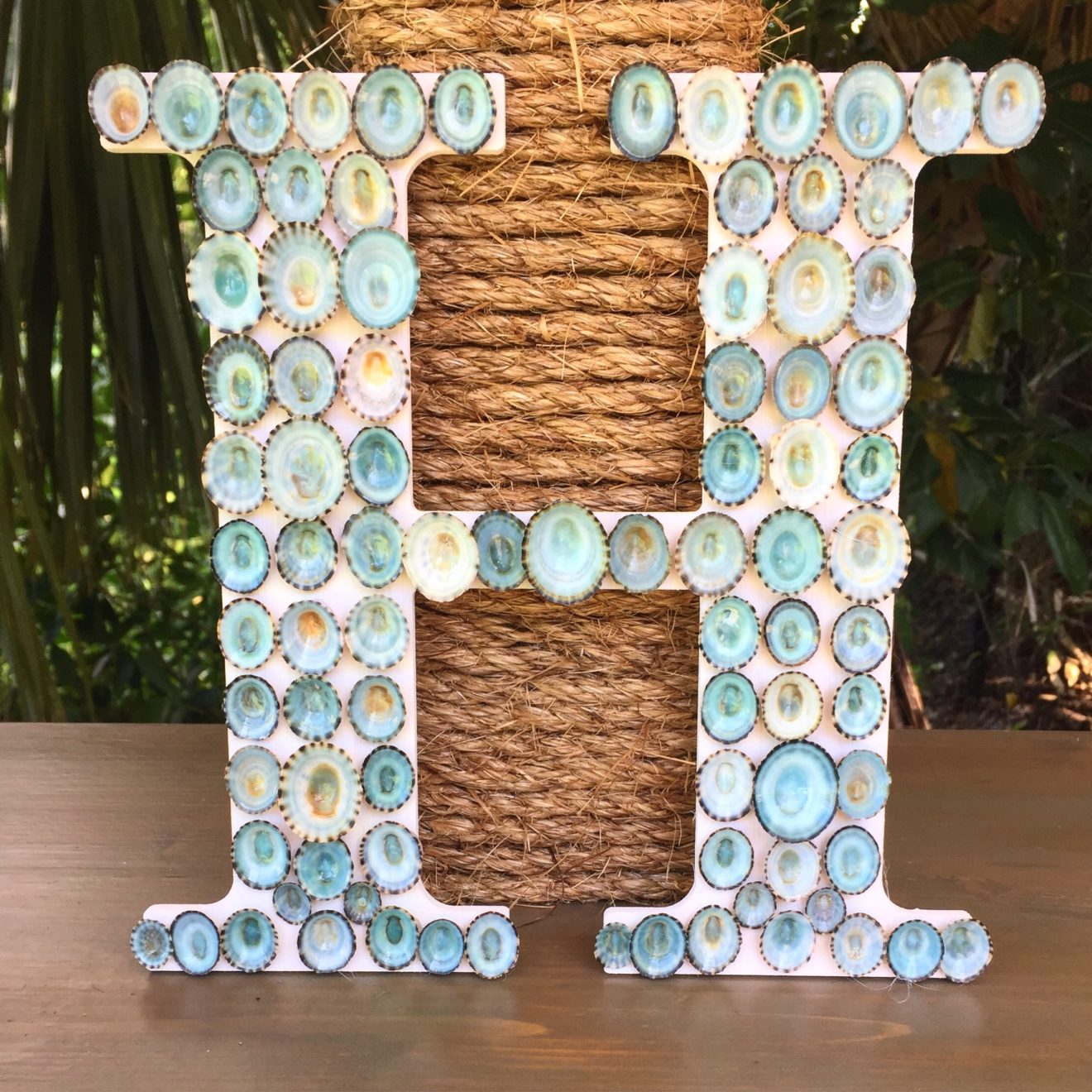 10 Fun and Easy DIY Shell Projects - the House house