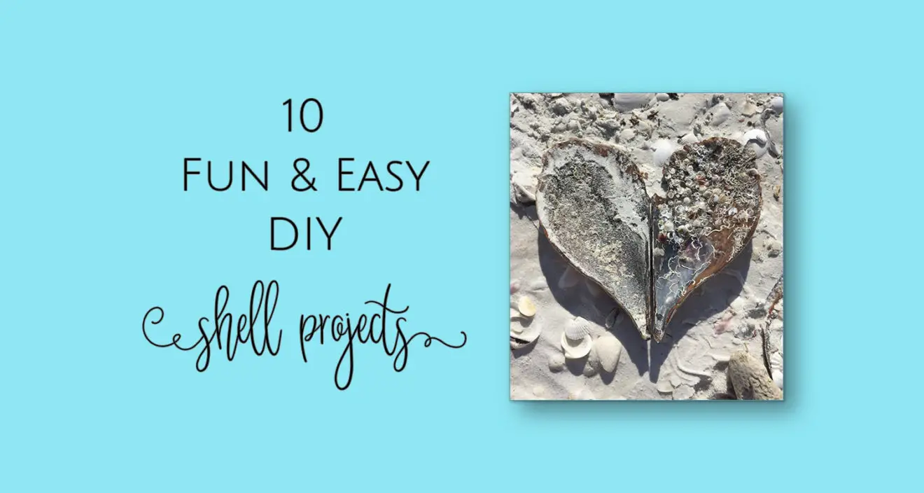 10 Fun and Easy DIY Shell Projects - the House house