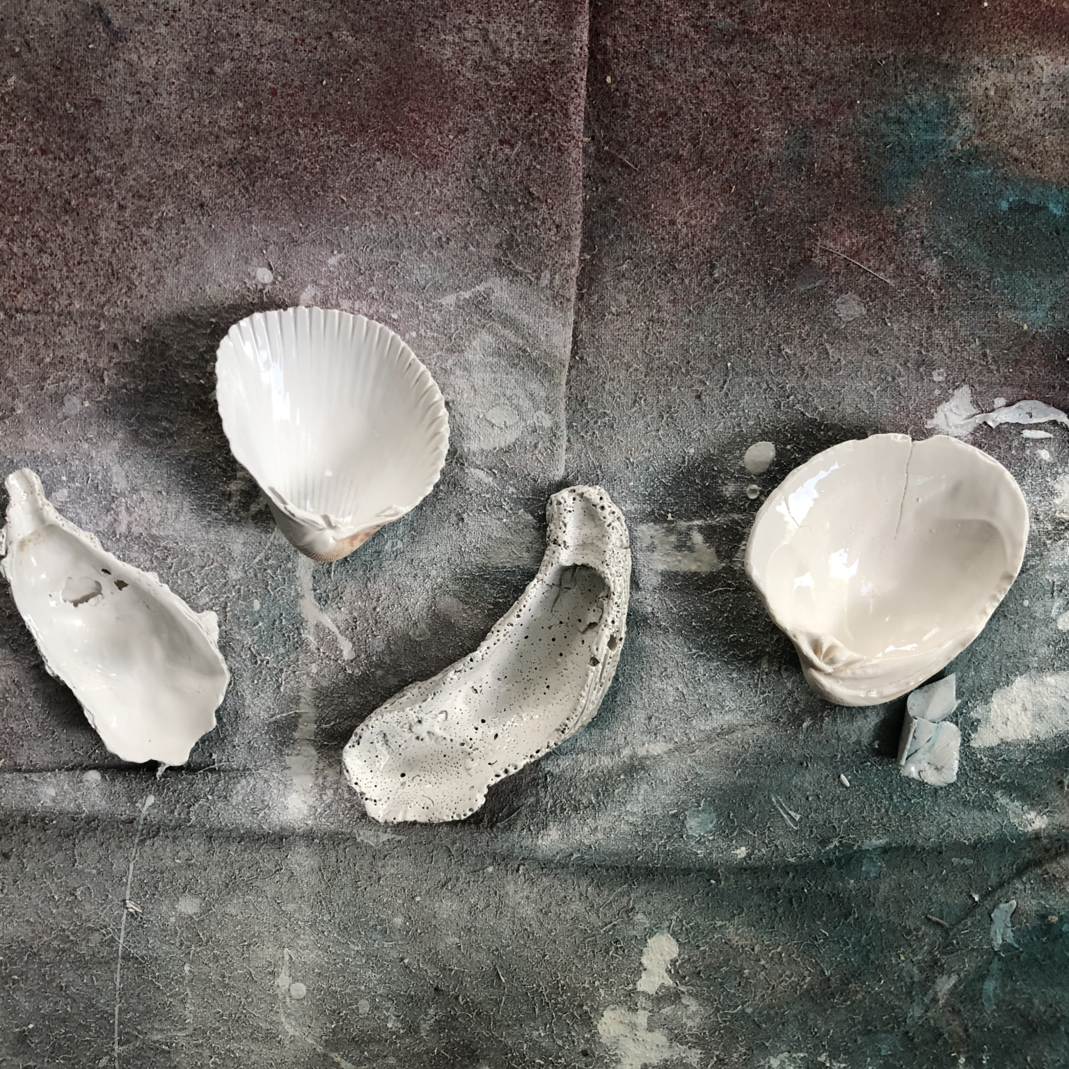 How to Decoupage Shells - the House house