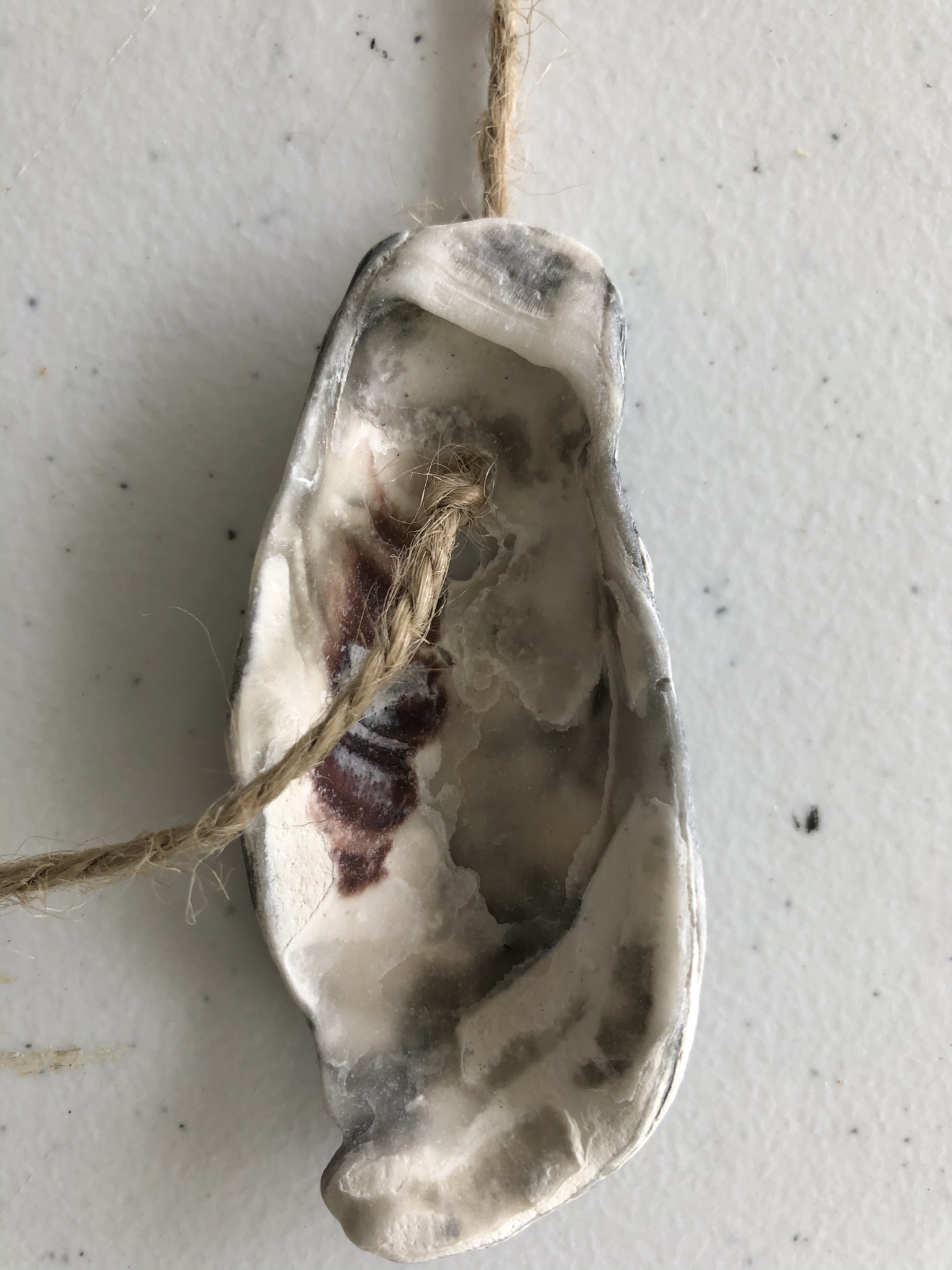 DIY Shell Wall Hanging - the House house