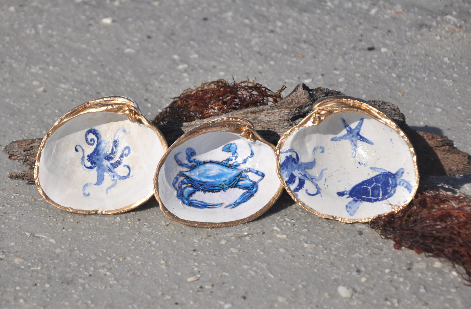 How to Decoupage Shells - the House house